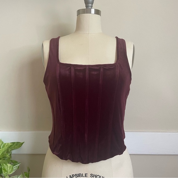 Express | Tops | Express Body Contour Collection Velvet Corset Top ...